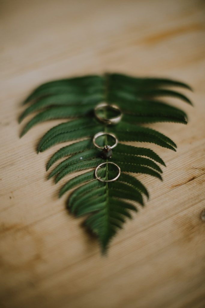 The West Coast Wedding of Taylor & Sheldon on the Lake