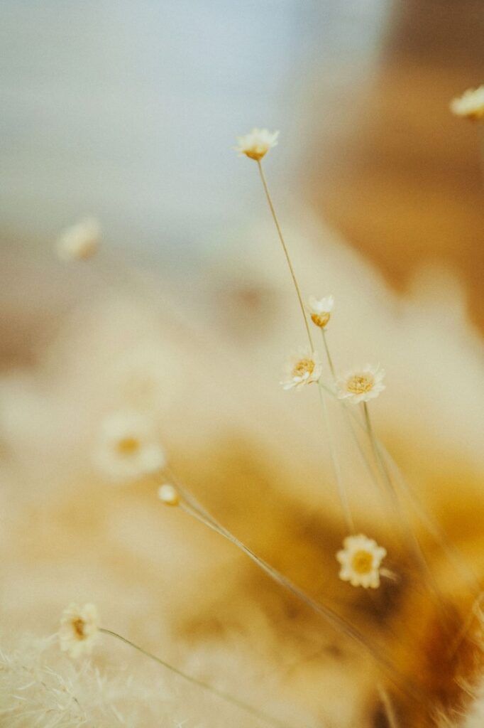 New Moon Bridal Inspiration | West Coast Weddings